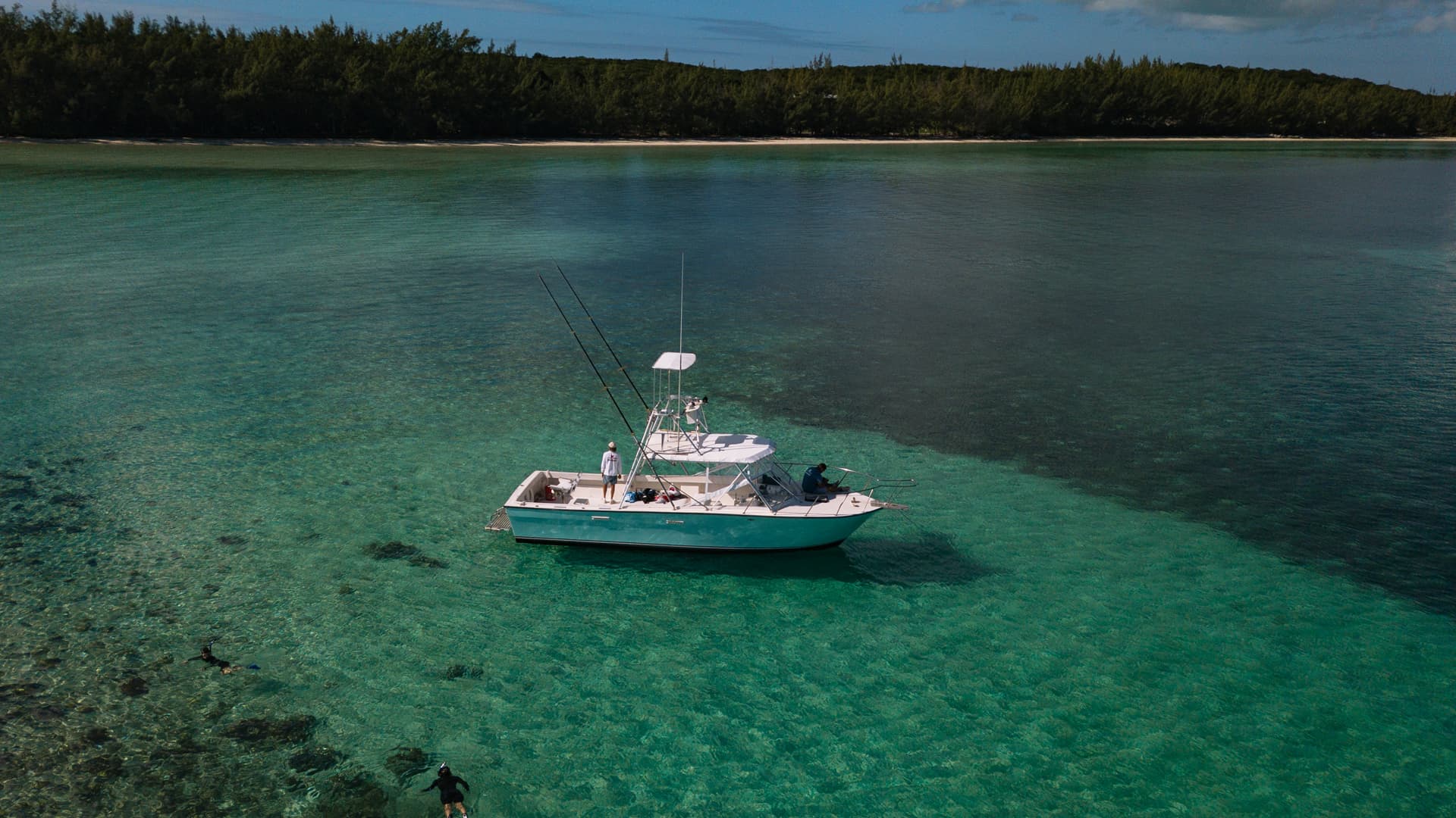 Ocean Fox Bahamas | Harbour Island Fishing & Dive Excursions
