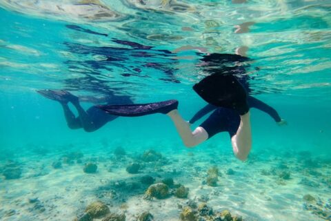 Ocean Fox Bahamas | Harbour Island Fishing & Dive Excursions