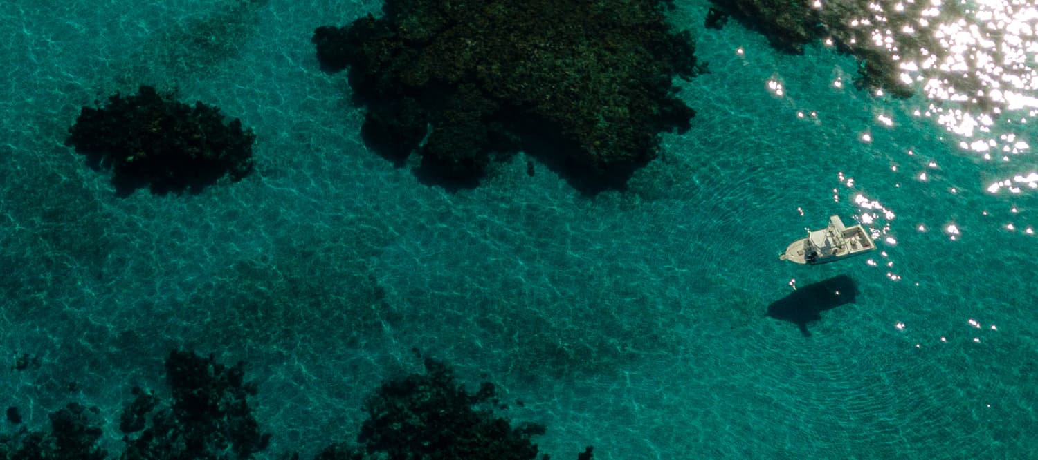 Devil's Backbone | Ocean Fox Bahamas