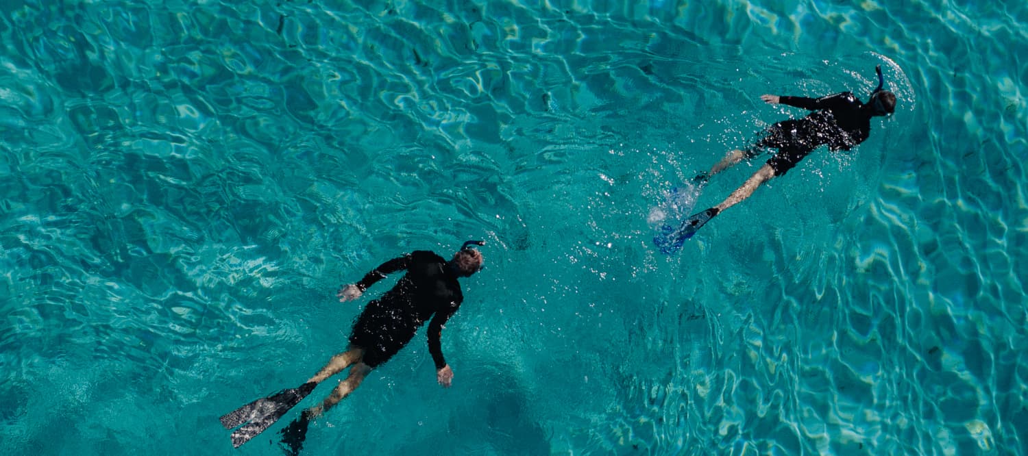 Eleuthera Snorkeling & Diving Adventures | Ocean Fox Bahamas